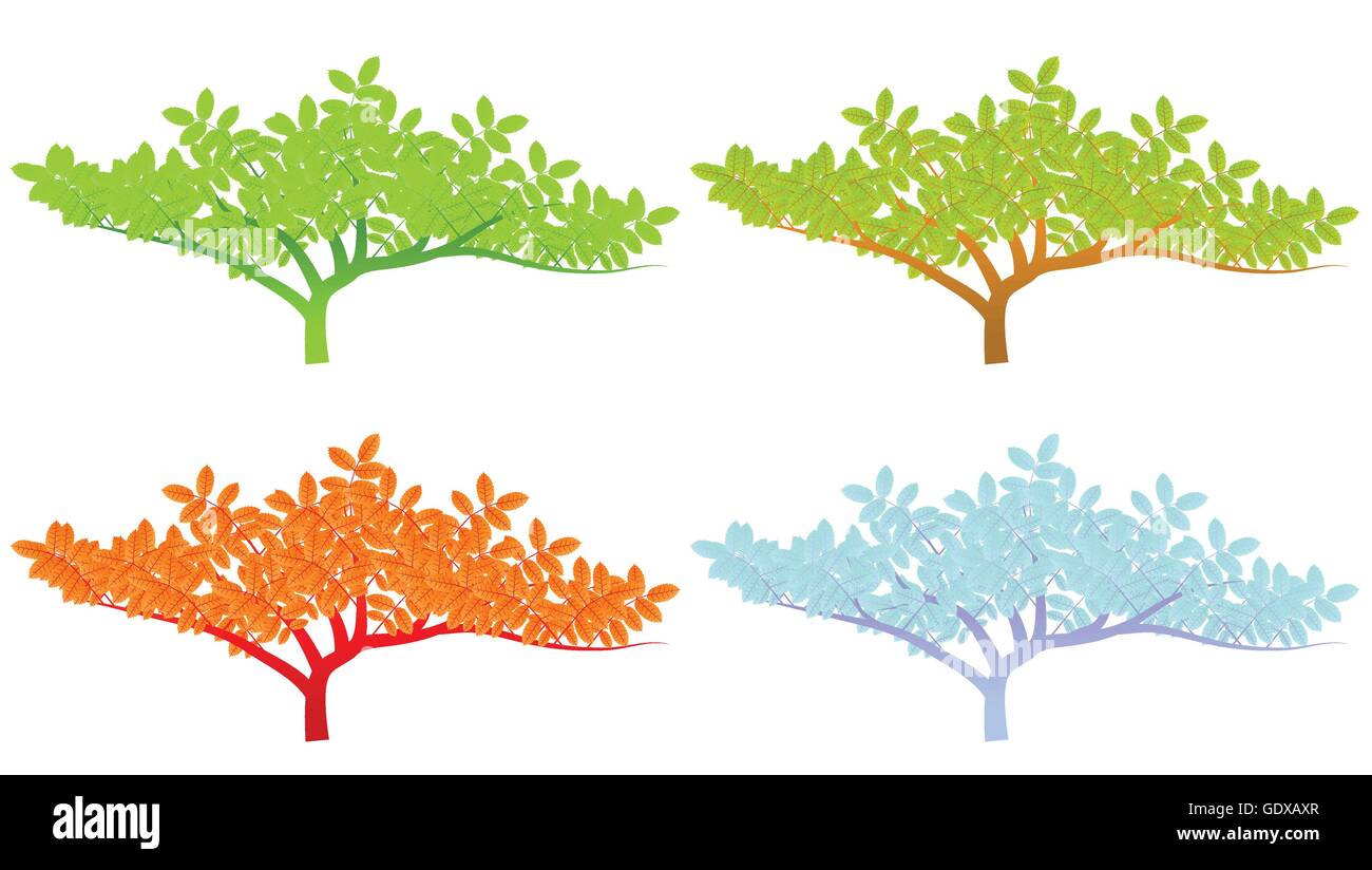 Four season stylized trees vector background concept- spring, summer ...