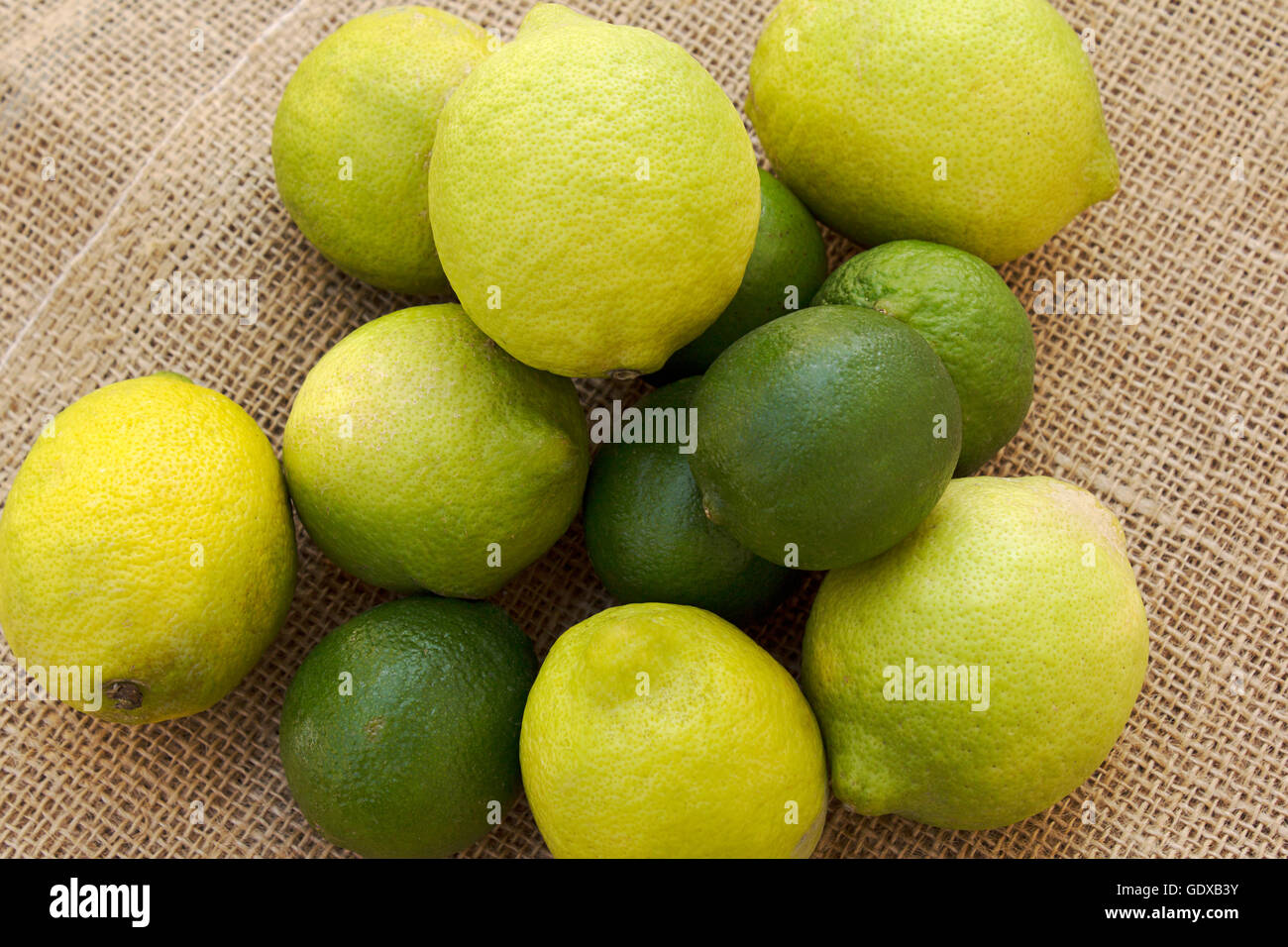 Fresh organic lemons and lime together with slices on jute background ...