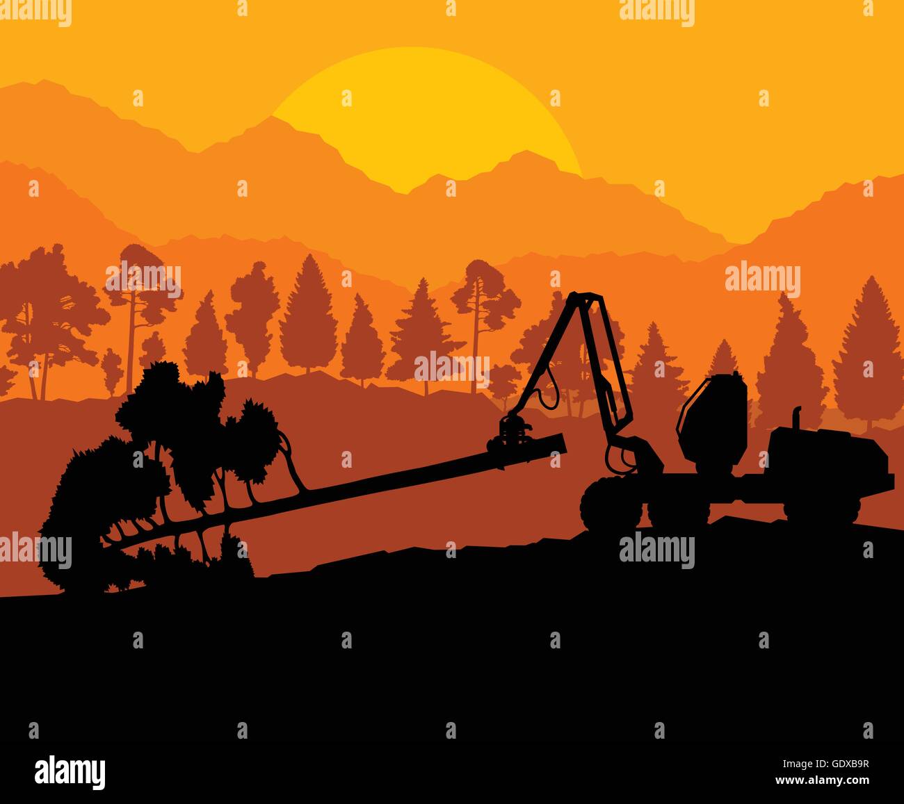 Forest cut down landscape with wood and heavy equipment track Stock ...