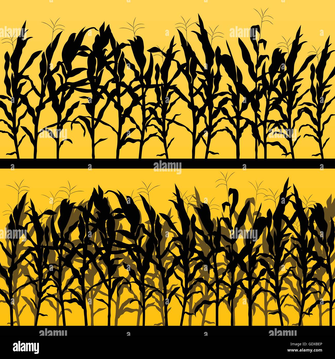 Corn field detailed countryside landscape illustration background ...