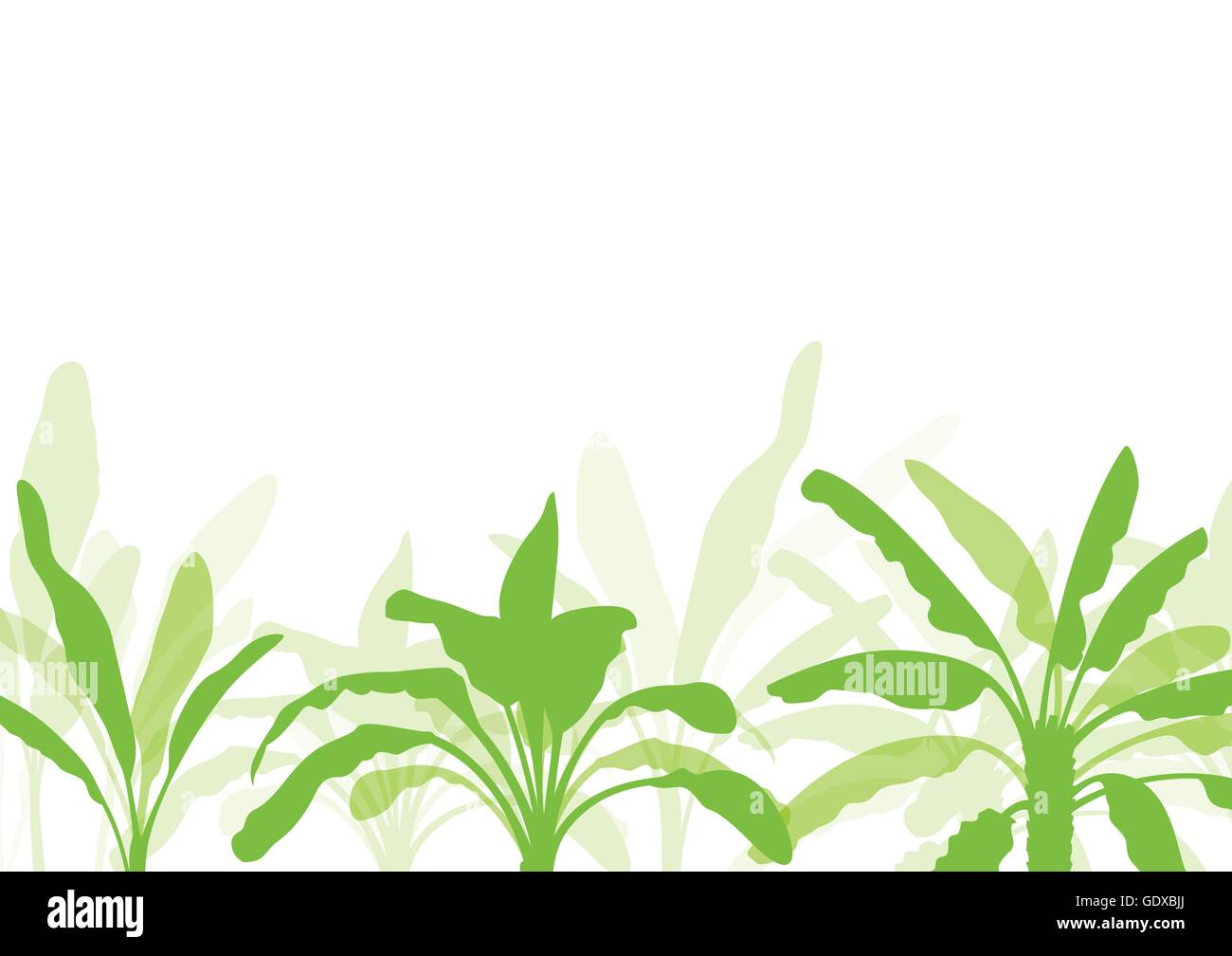 Banana tree bark Stock Vector Images - Alamy