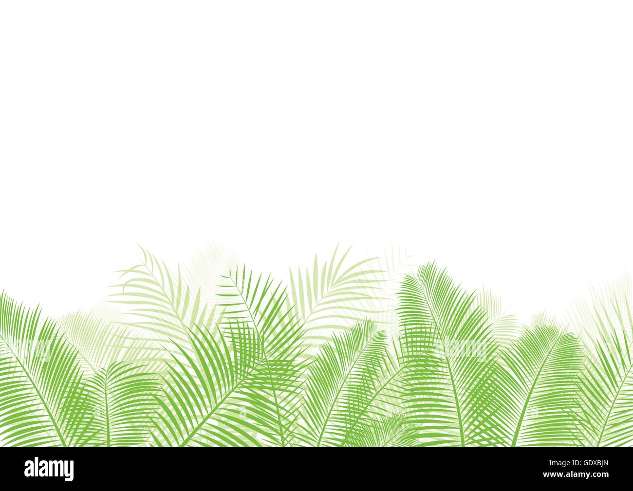 Palm tree leaf vector background for poster Stock Vector Image & Art ...