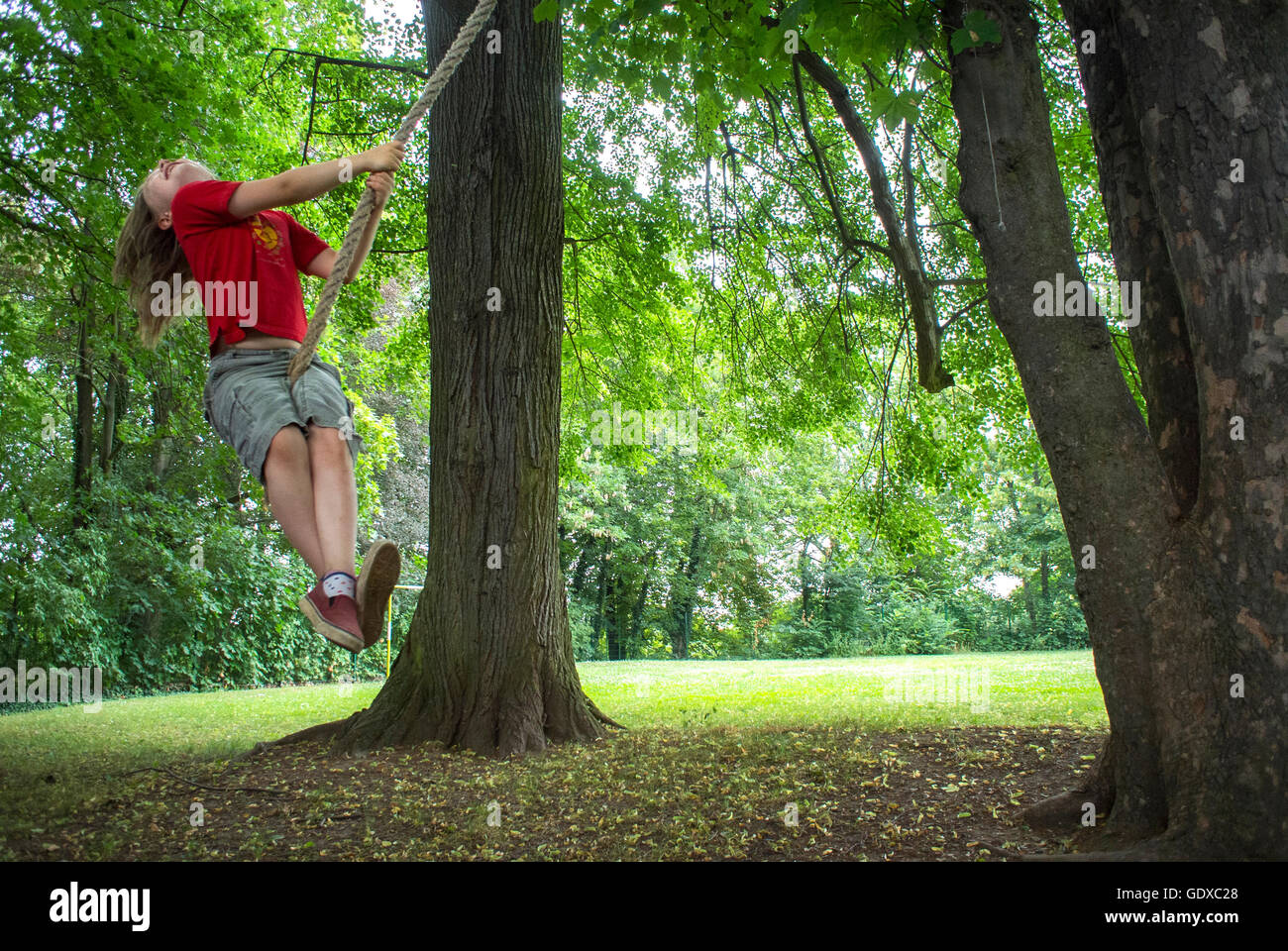 Tree with rope swing hi-res stock photography and images - Alamy