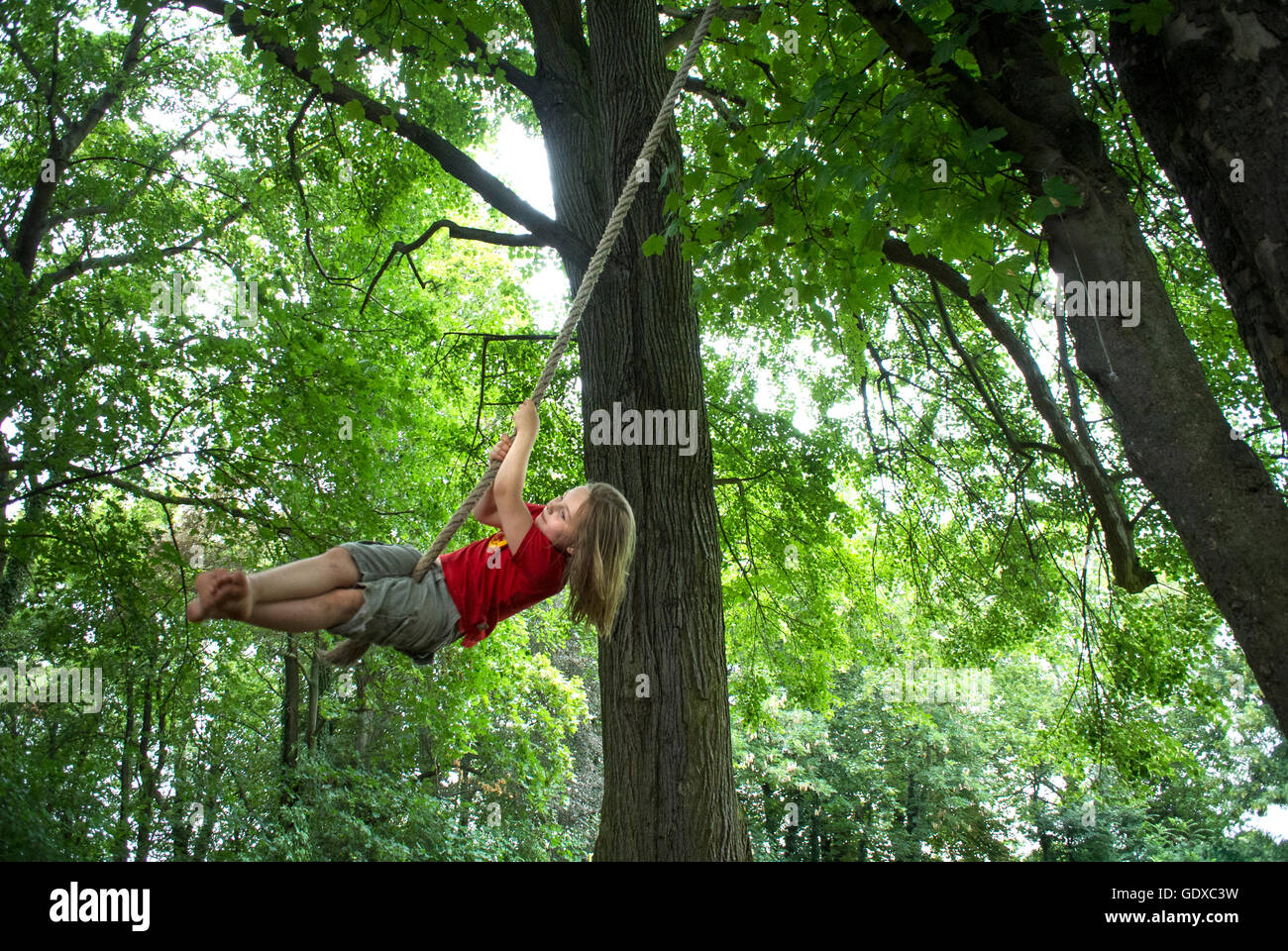Tree with rope tree hi-res stock photography and images - Alamy