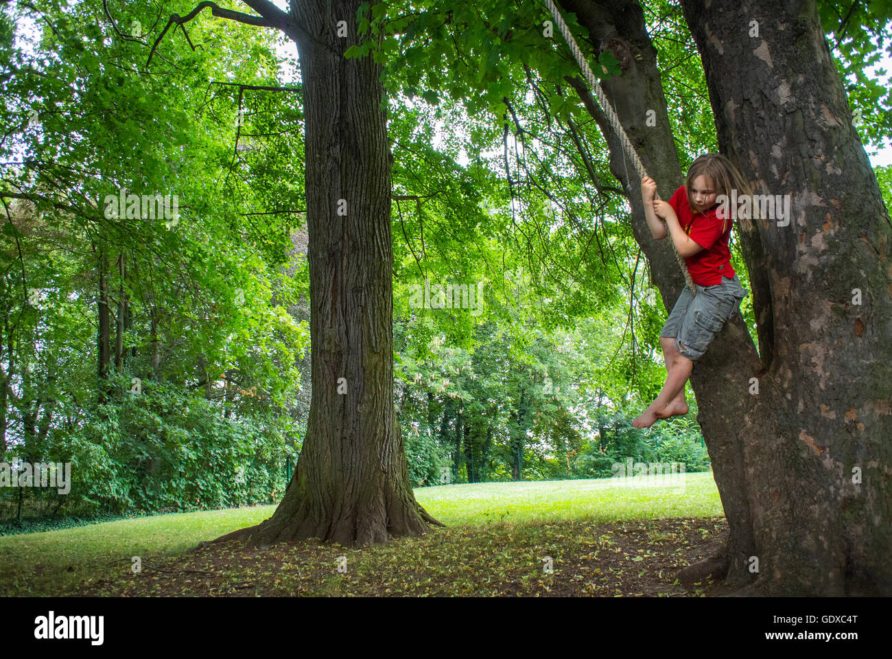 Swinging tree hi-res stock photography and images - Alamy