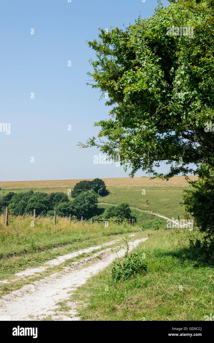 The British countryside on Pen Hill on the South Downs Way trail in ...