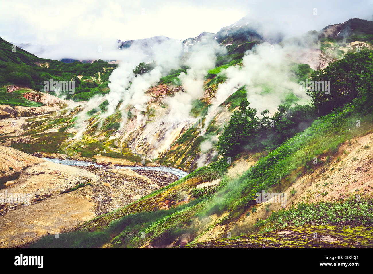 The legendary Valley of Geysers in the summer. Kamchatka, Russia ...