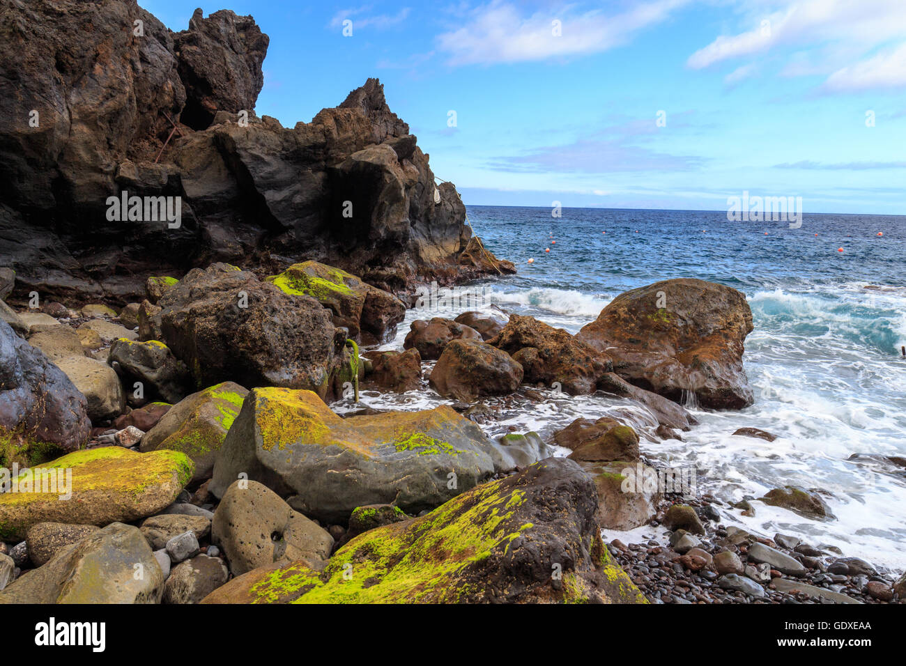 Moss stone and ocean on Madeira island, Portugal Stock Photo - Alamy