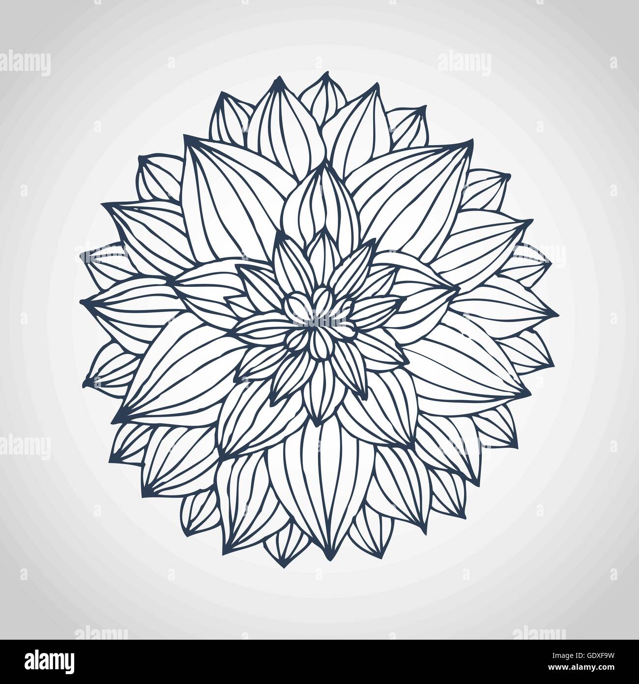 dahlia flower vector Stock Vector Image & Art - Alamy