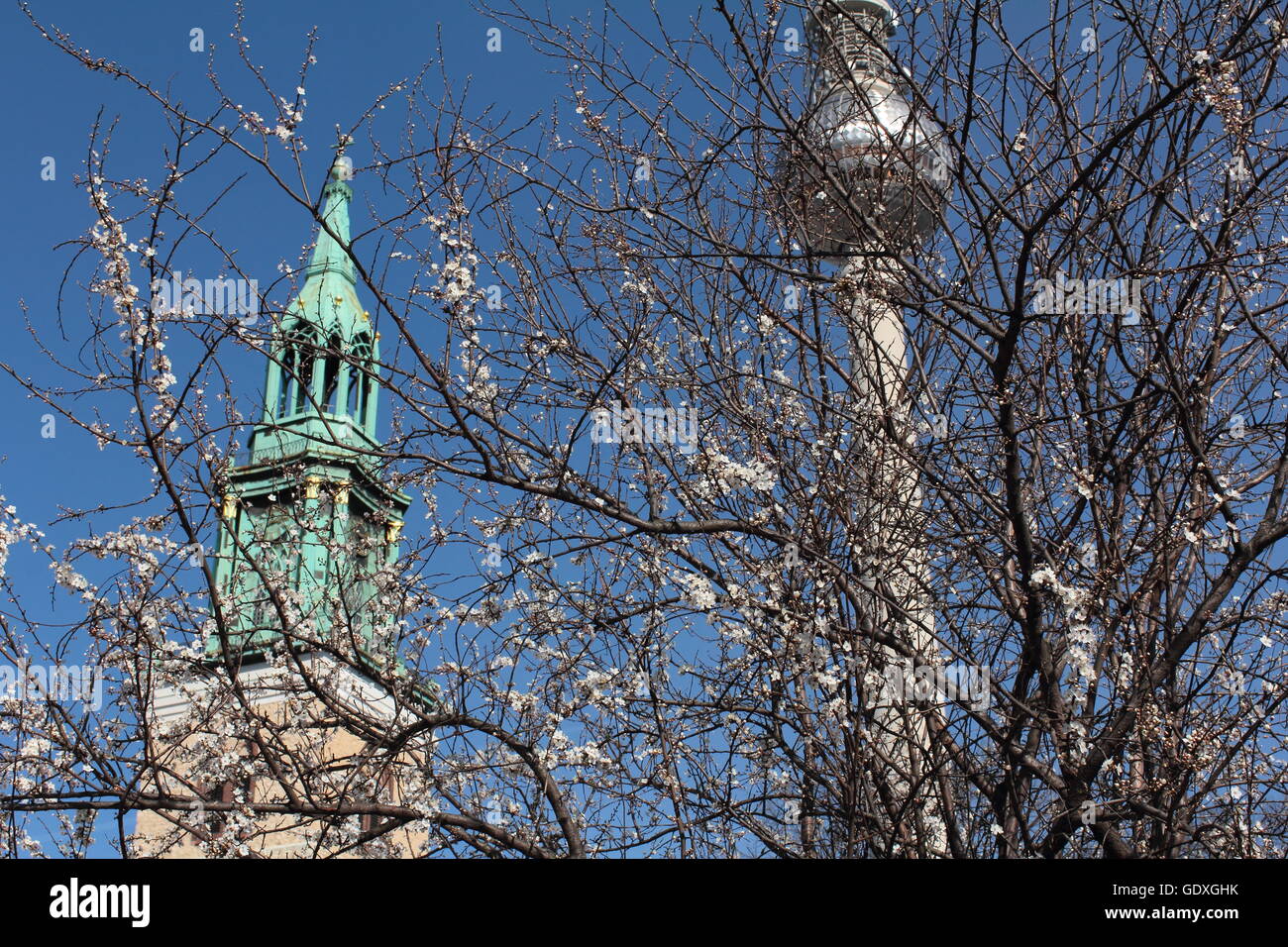 Berlin spring on alex square hi-res stock photography and images - Alamy