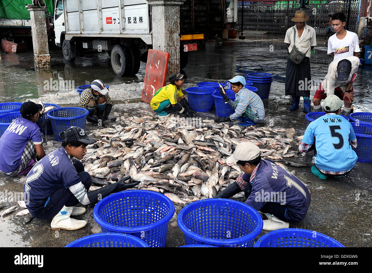 San Pya fish market in Yangon Stock Photo - Alamy