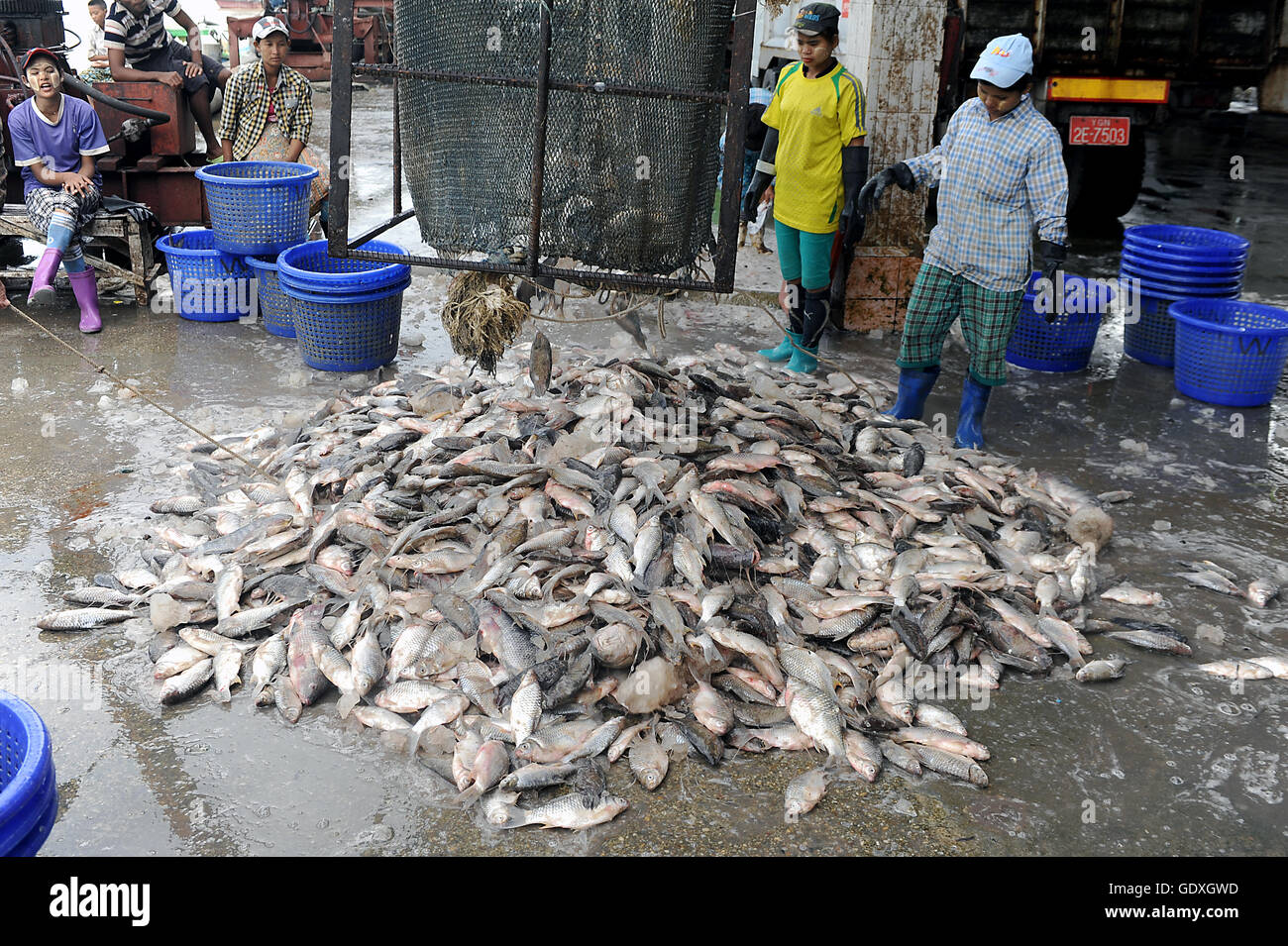 San Pya fish market in Yangon Stock Photo - Alamy