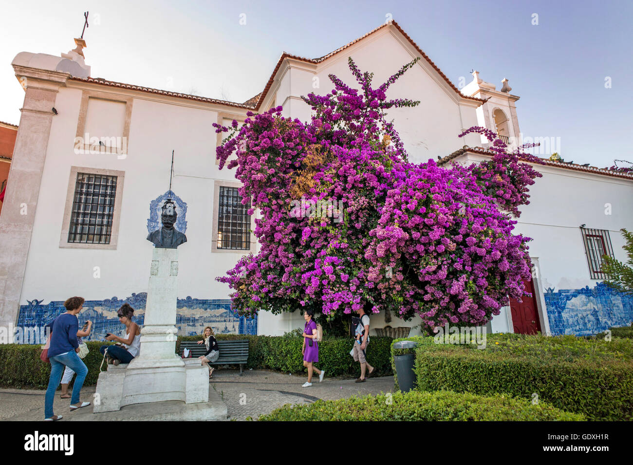 Viewpoint miradouro de santa luzia hi-res stock photography and images ...