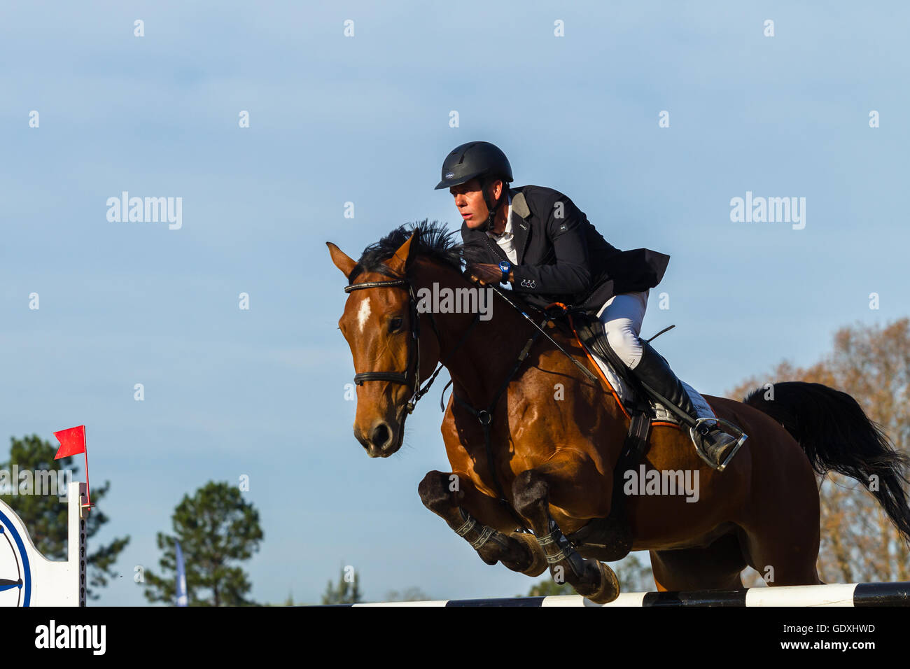 Rider horse equestrian show jumping action in arena Stock Photo - Alamy