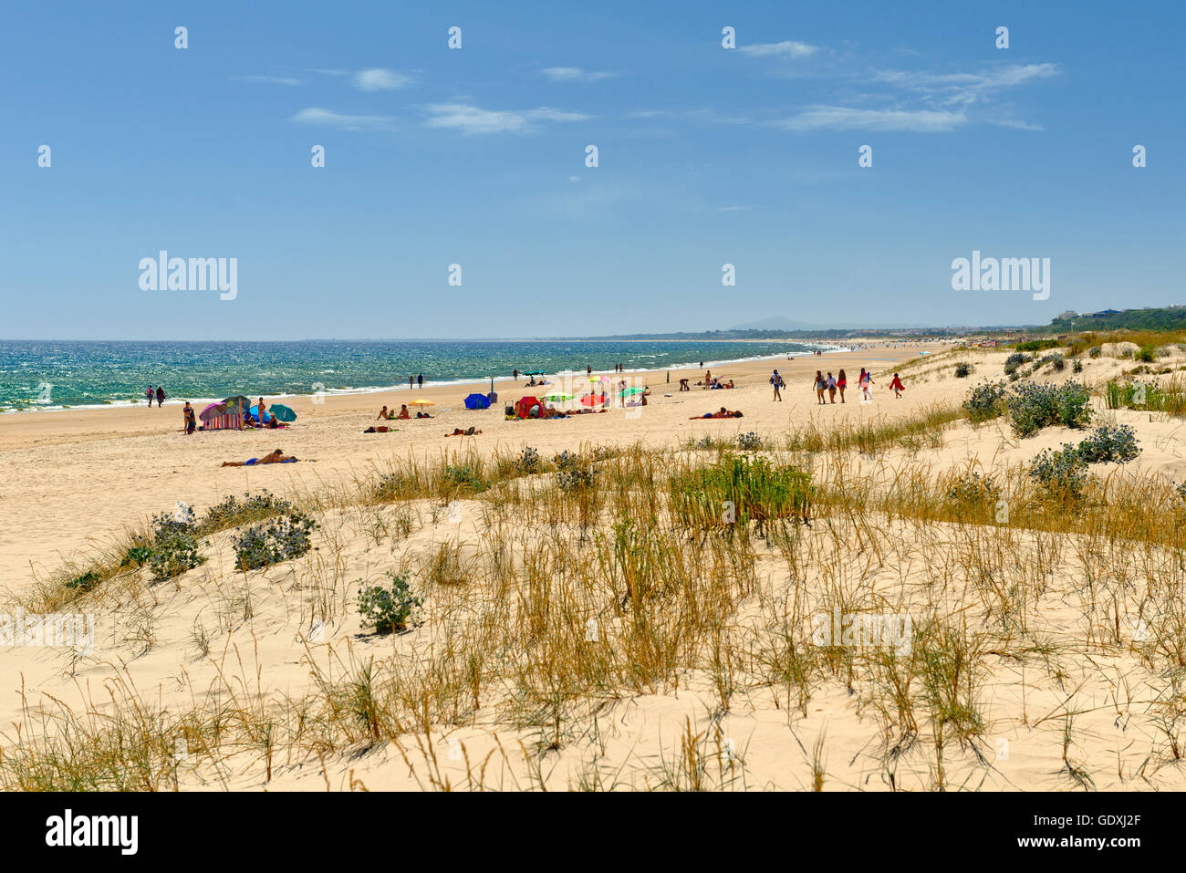 sand dunes on praia de Alagoa, between Monte Gordo and Altura, the ...