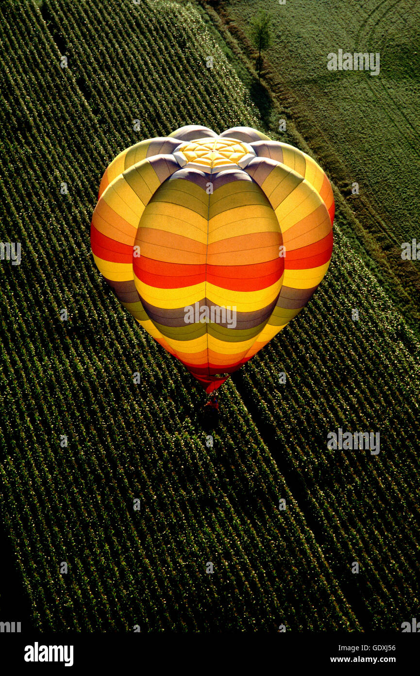 A hot air balloon floats over corn fields at the St-Jean-sur-Richelieu ...