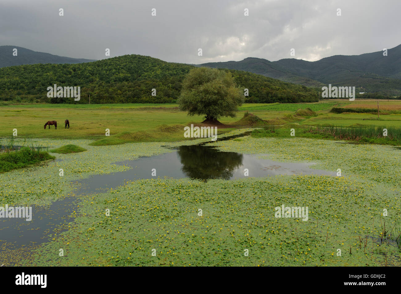 Its Immediate High Resolution Stock Photography and Images - Alamy