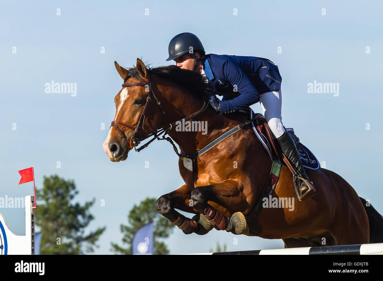 Rider horse equestrian show jumping action in arena Stock Photo - Alamy