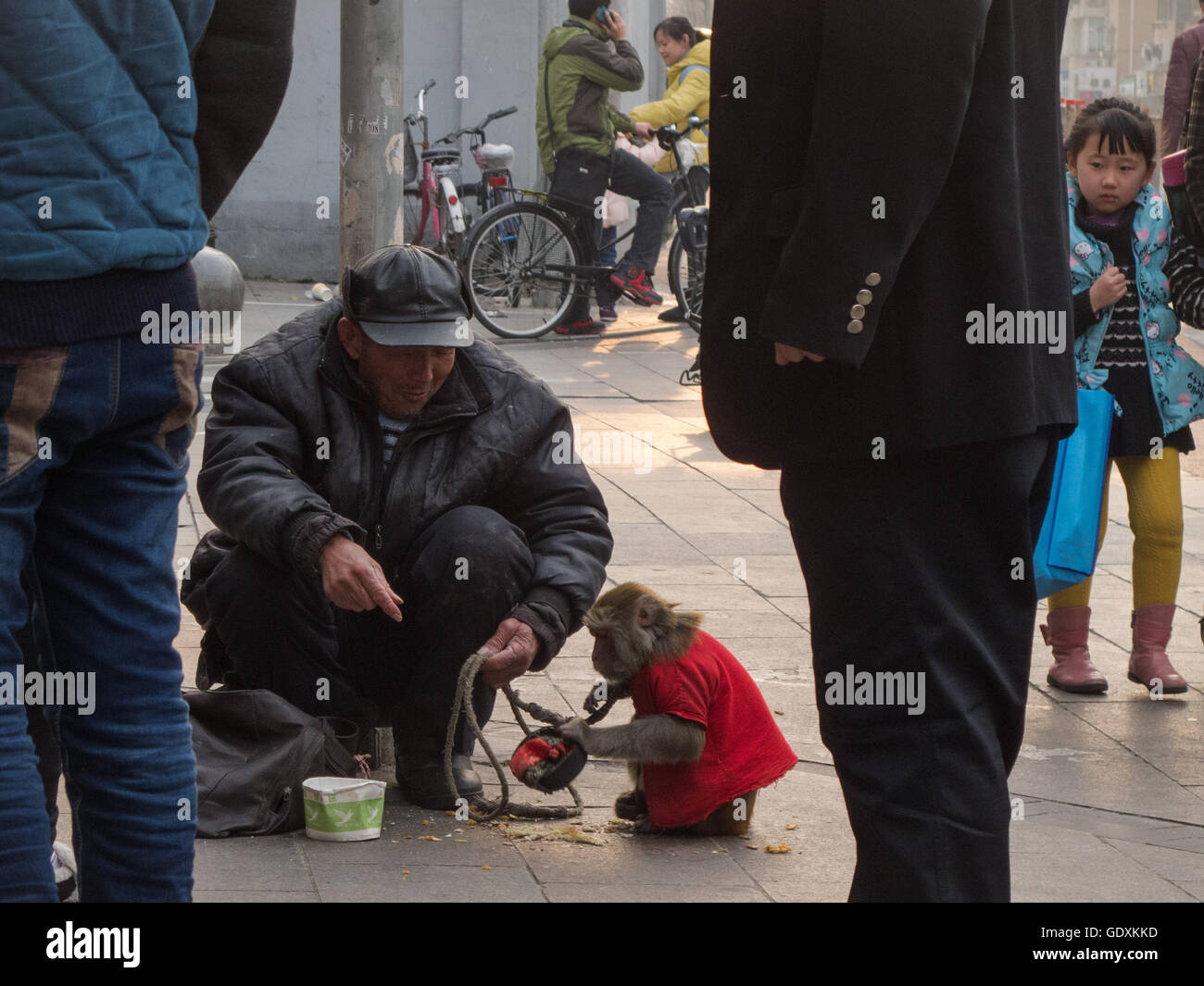 Monkey street hi-res stock photography and images - Alamy
