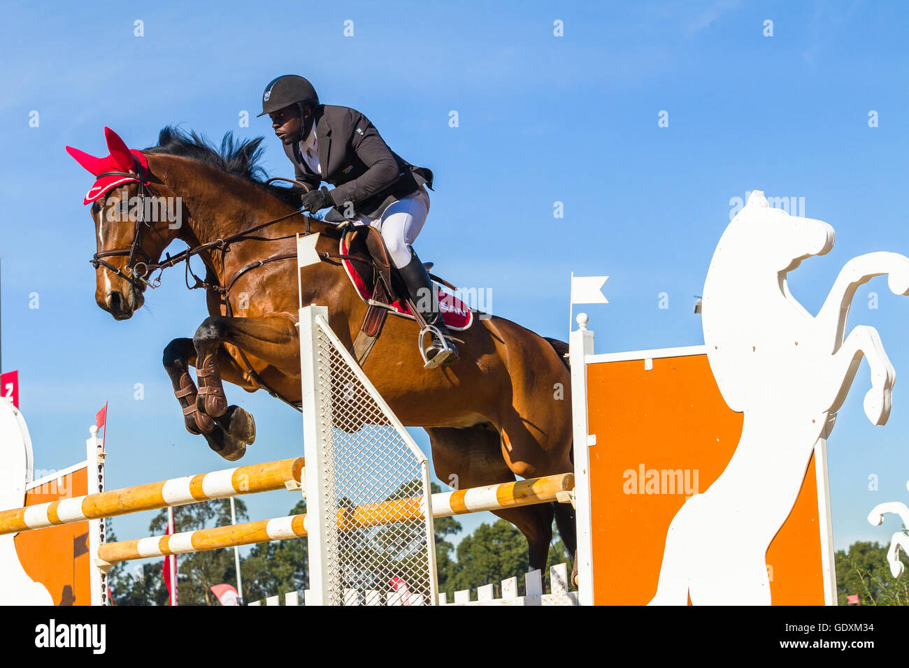 Rider horse equestrian show jumping action in arena Stock Photo - Alamy
