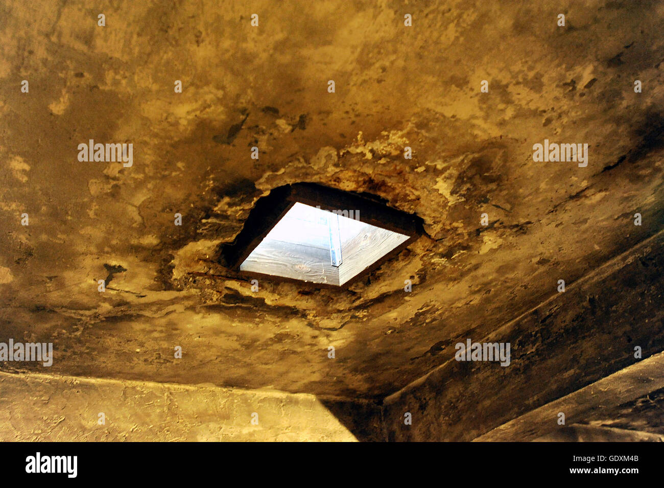 Gas chamber auschwitz 1945 hi-res stock photography and images - Alamy