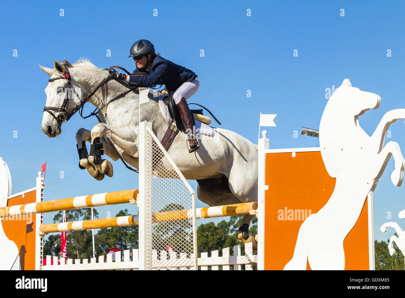 Rider horse equestrian show jumping action in arena Stock Photo - Alamy