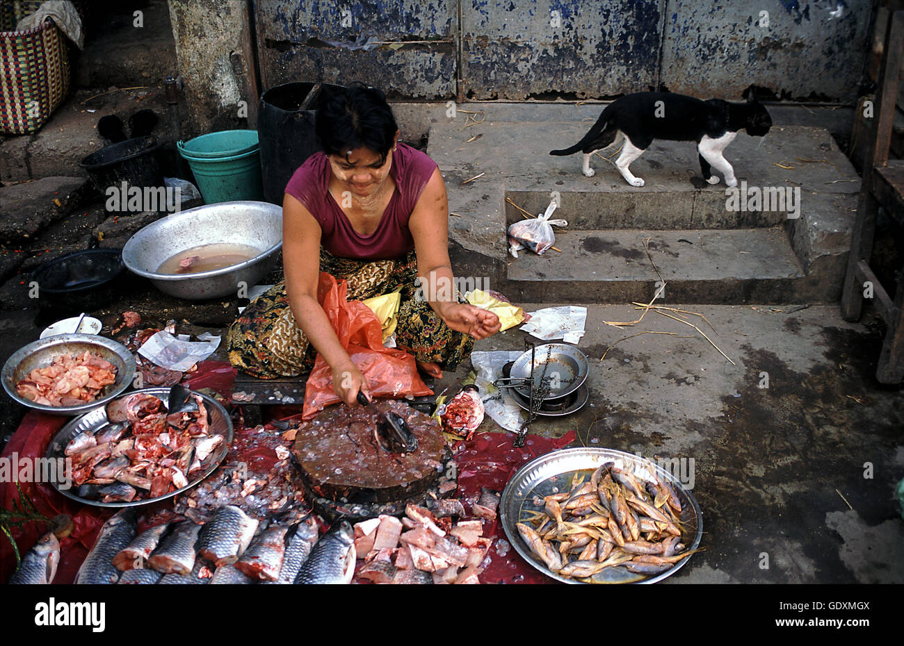 Fish vendor in Yangon Stock Photo - Alamy