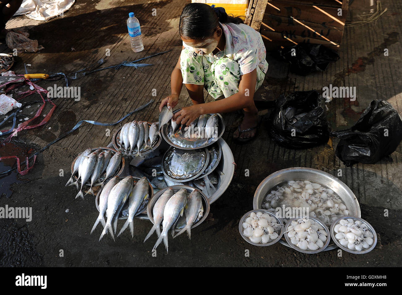 Fish vendor in Yangon Stock Photo - Alamy