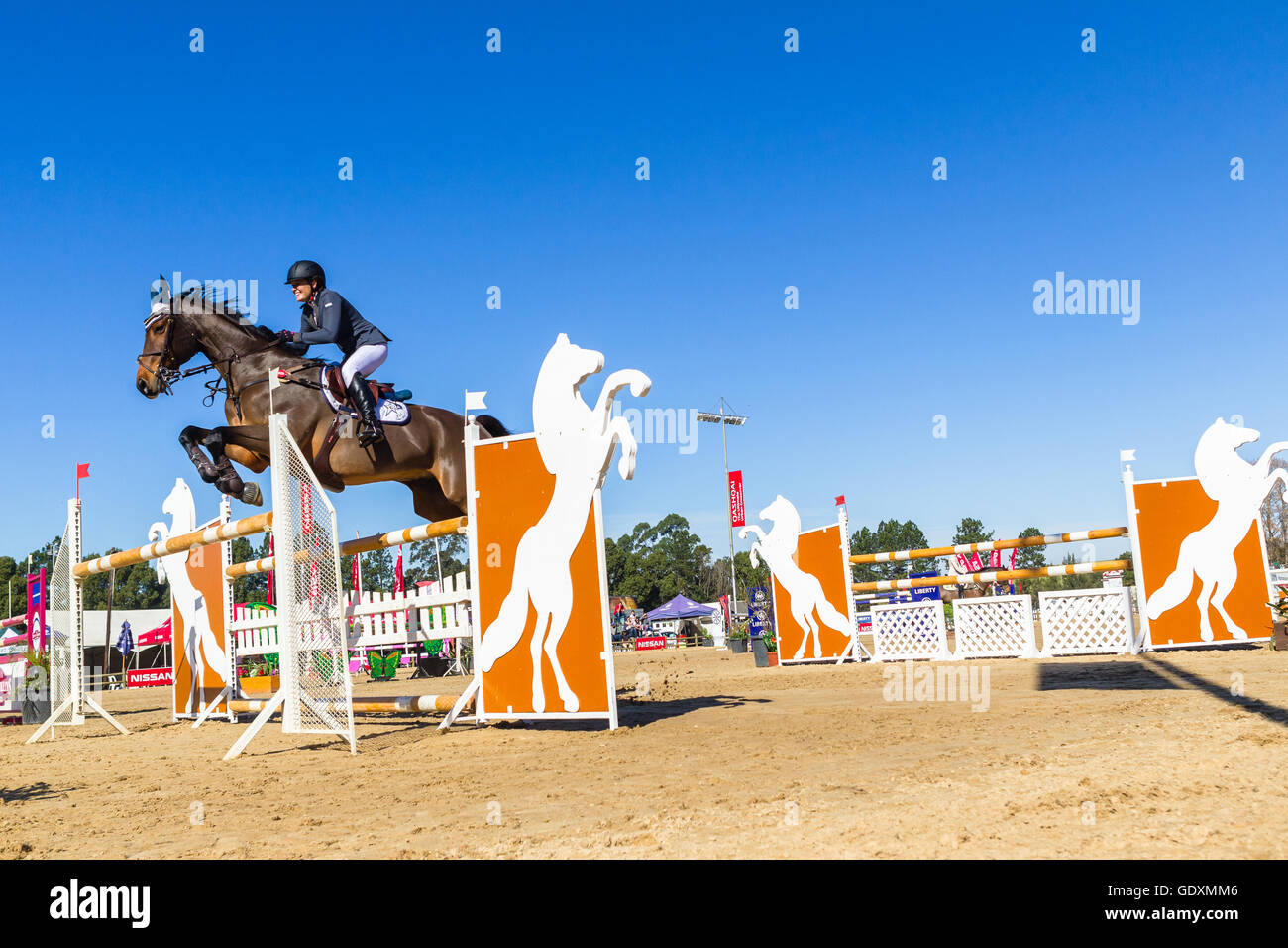 Rider horse equestrian show jumping action in arena Stock Photo - Alamy