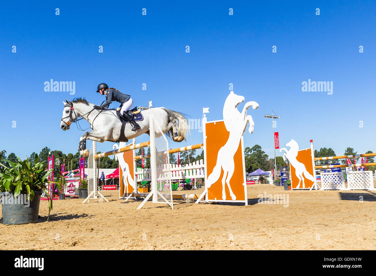 Rider horse equestrian show jumping action in arena Stock Photo - Alamy