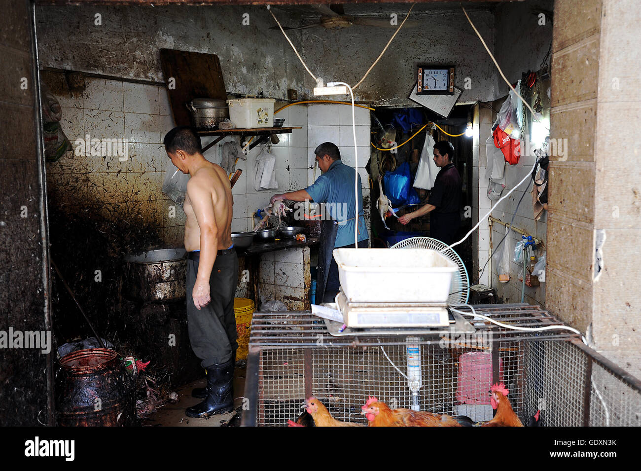 Chinese poultry butcher shop Stock Photo - Alamy