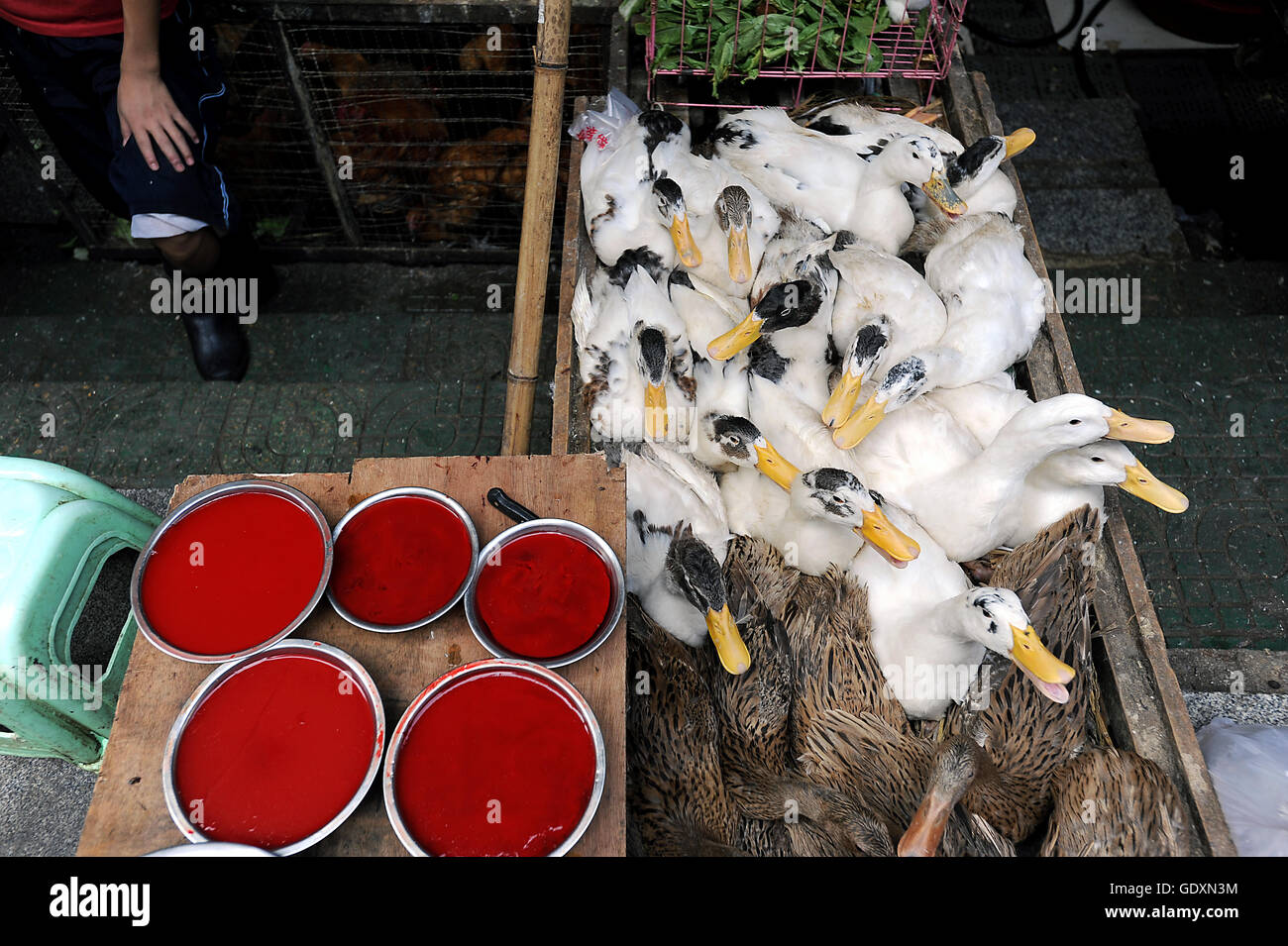Chinese hens hi-res stock photography and images - Alamy