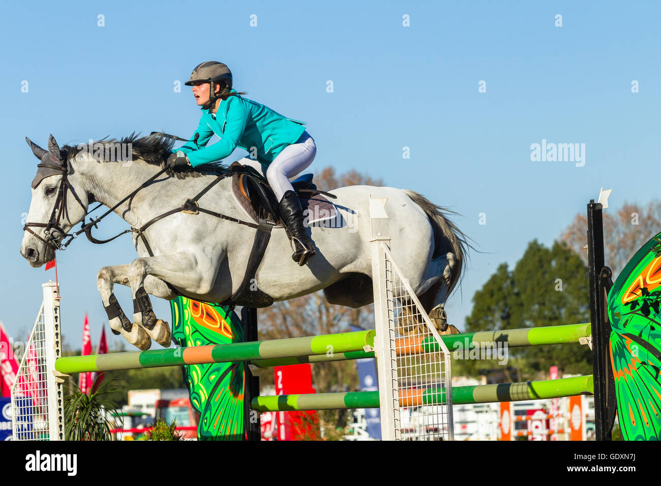 Rider horse equestrian show jumping action in arena Stock Photo - Alamy