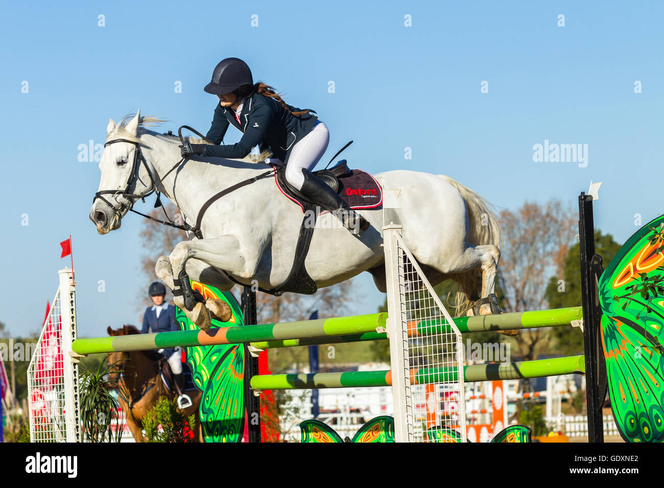 Rider horse equestrian show jumping action in arena Stock Photo - Alamy