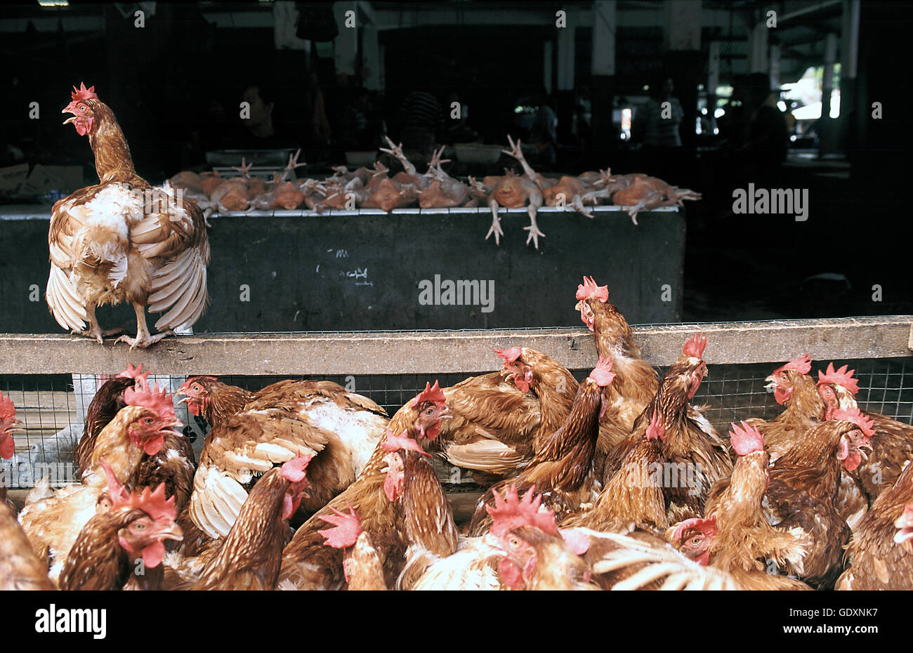 Manado market hi-res stock photography and images - Alamy