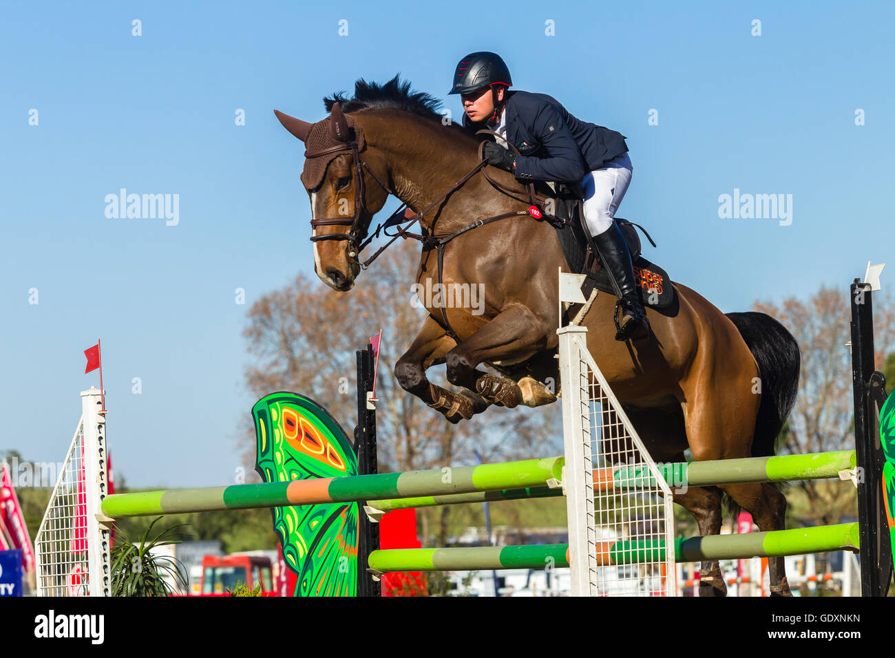 Rider horse equestrian show jumping action in arena Stock Photo - Alamy