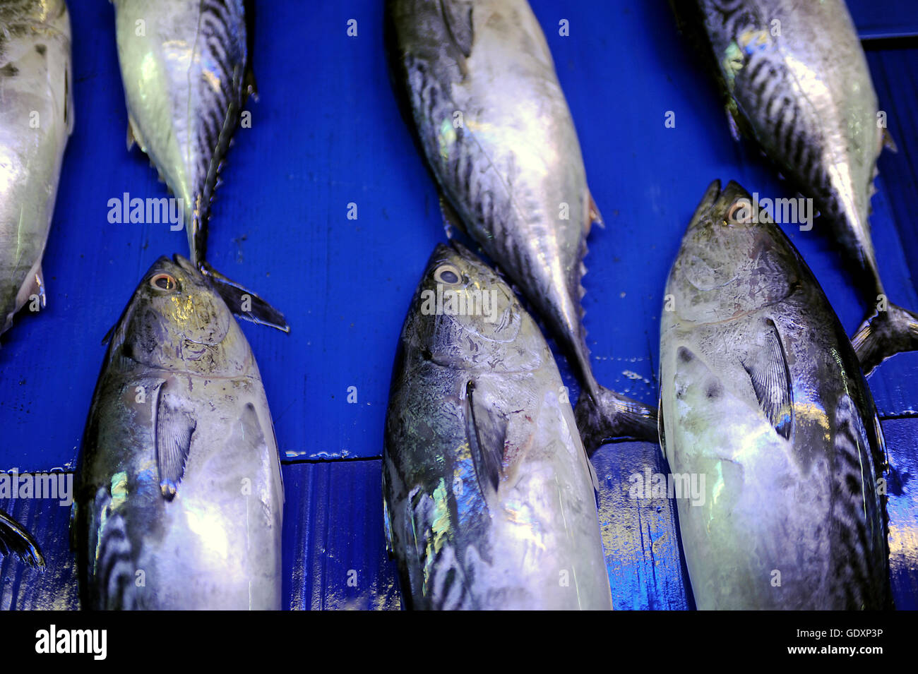 Gadong hi-res stock photography and images - Alamy
