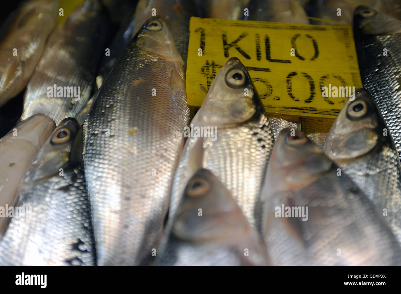 Pasar Gadong Fish market Stock Photo - Alamy