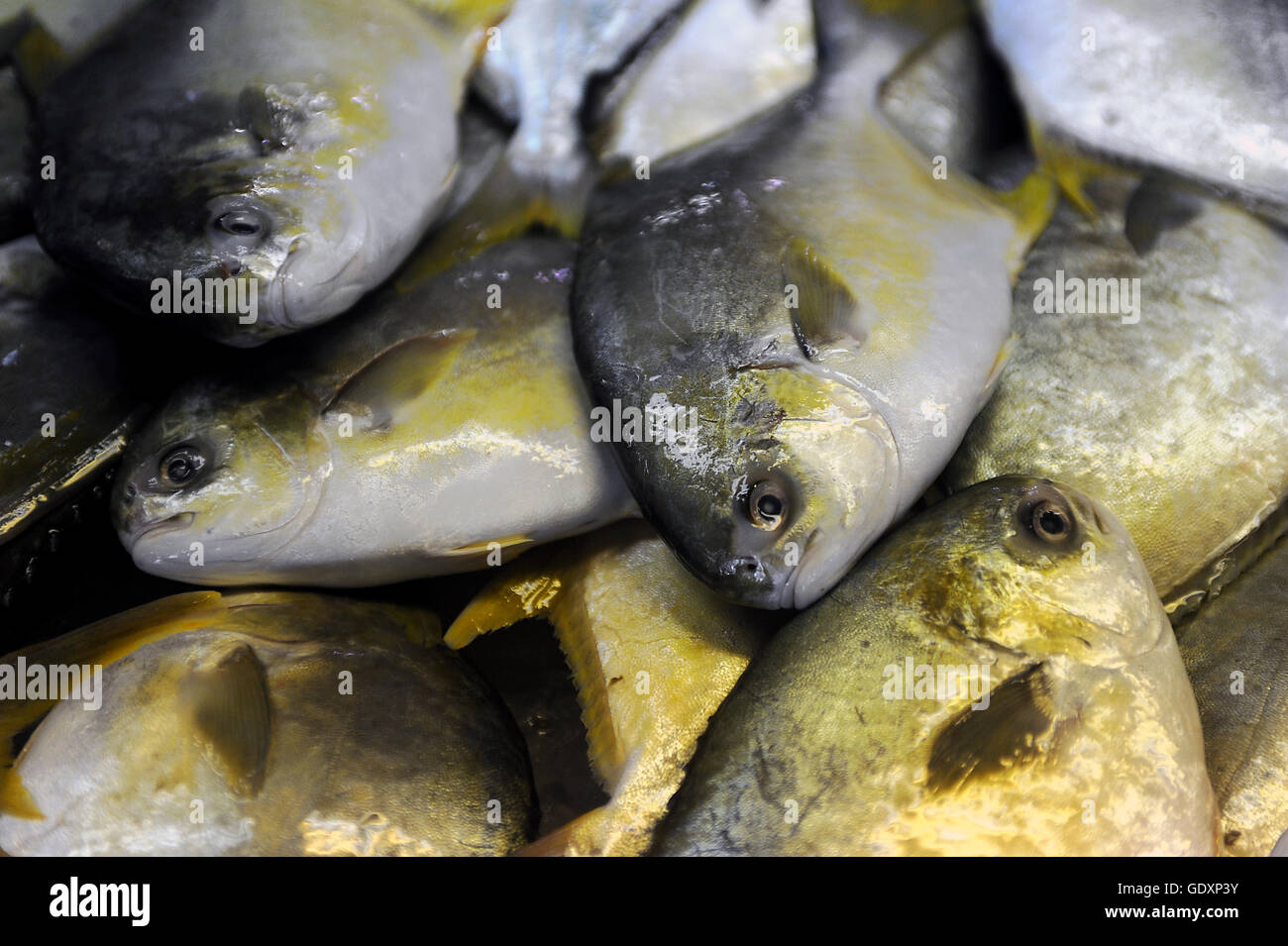 Pasar Gadong Fish market Stock Photo - Alamy