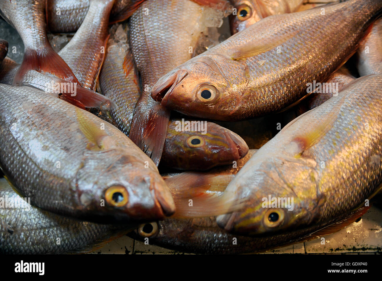 Pasar Gadong Fish market Stock Photo - Alamy