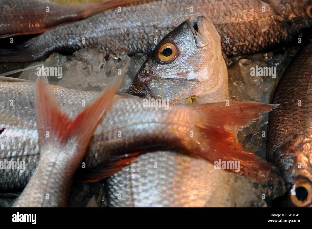 Pasar Gadong Fish market Stock Photo - Alamy