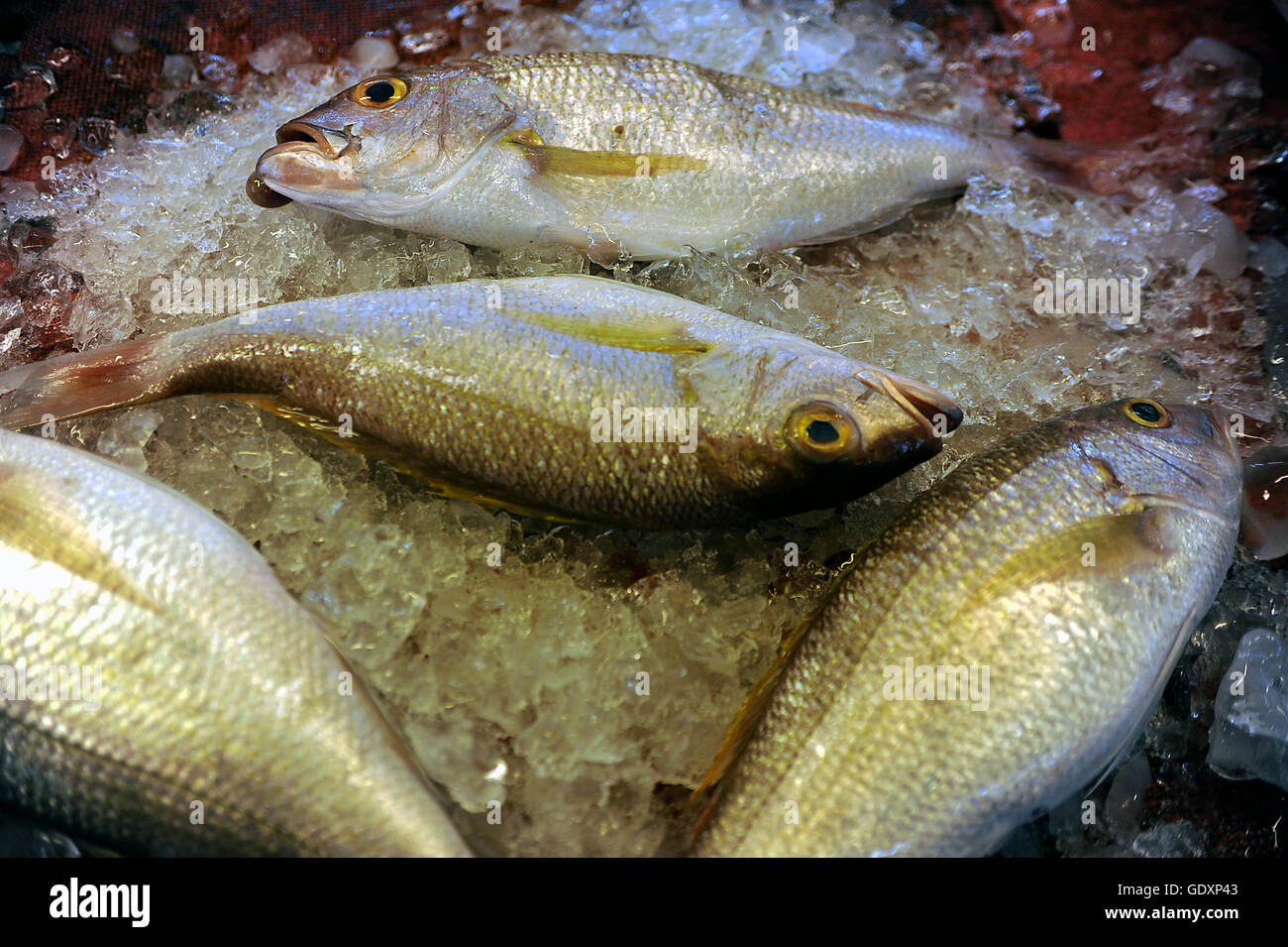 Pasar Gadong Fish market Stock Photo - Alamy