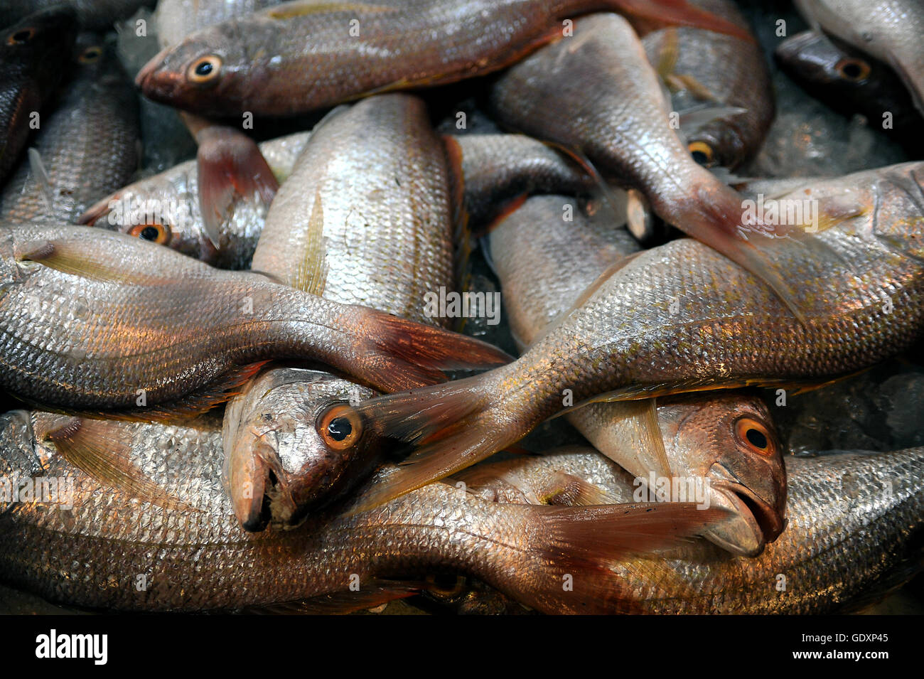 Pasar Gadong Fish market Stock Photo - Alamy