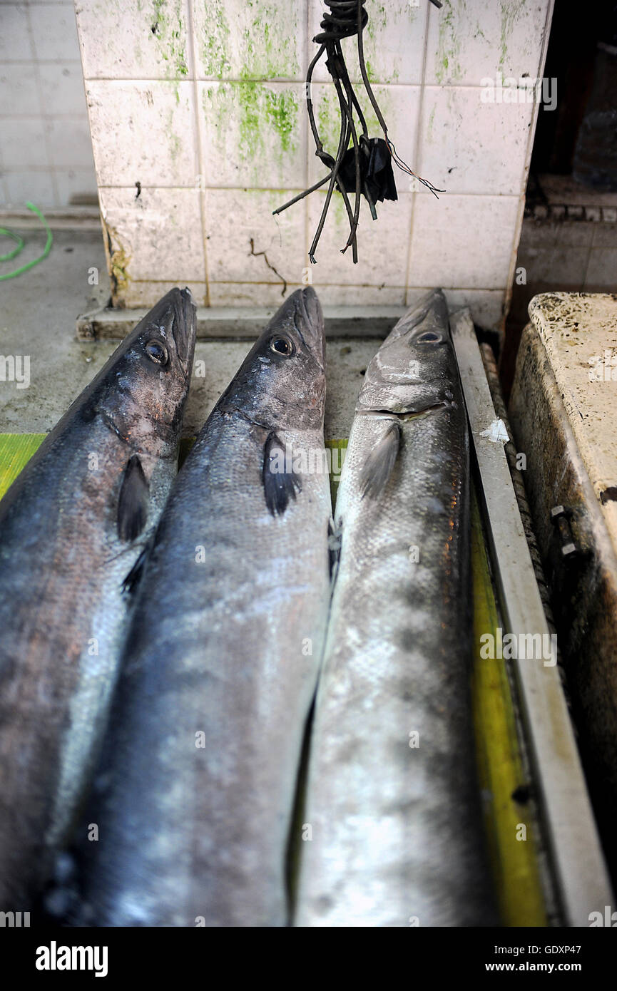 Pasar Gadong Fish market Stock Photo - Alamy