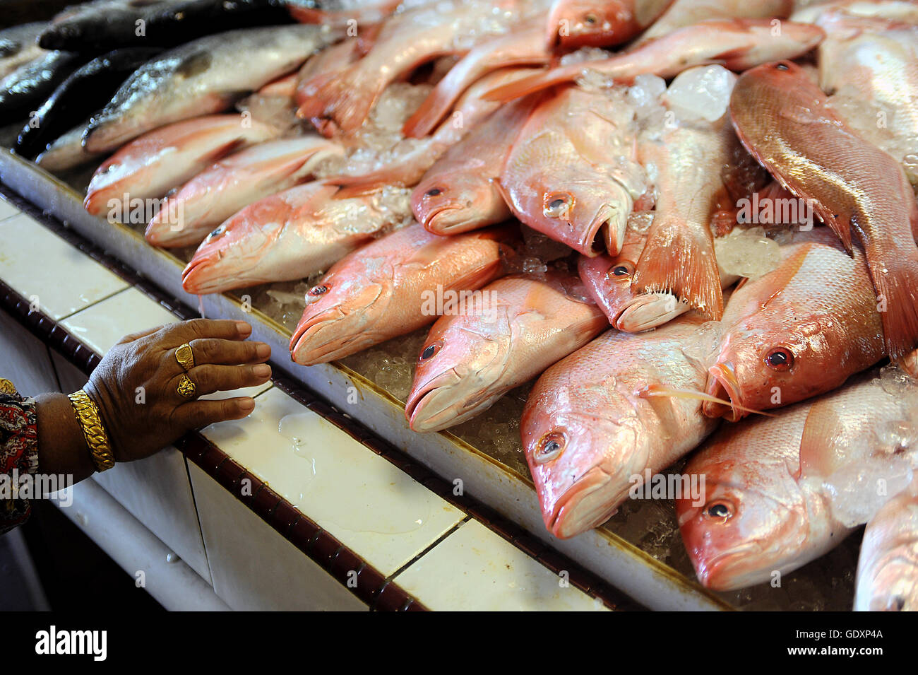 Pasar Gadong Fish market Stock Photo - Alamy