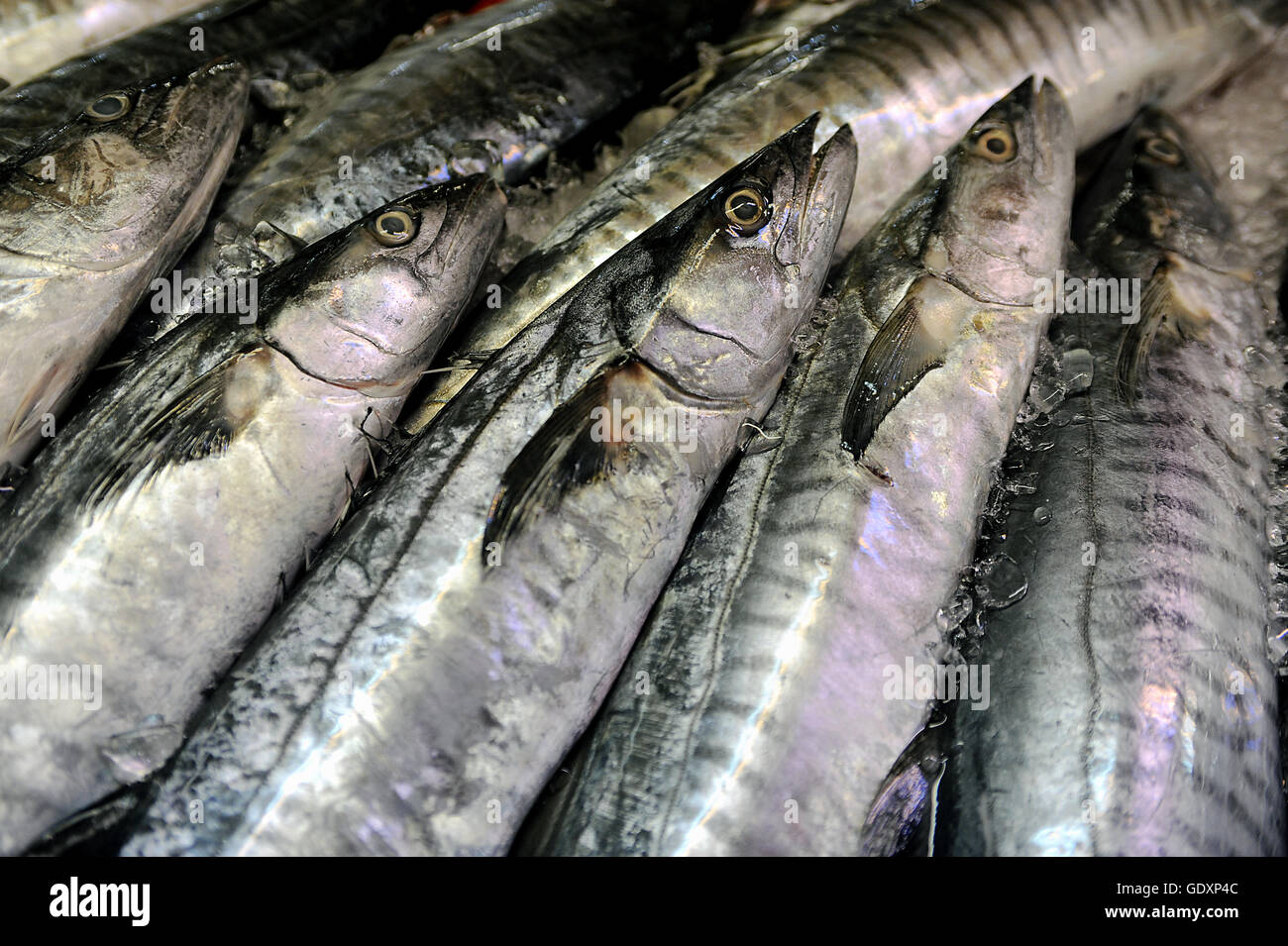 Pasar Gadong Fish market Stock Photo - Alamy