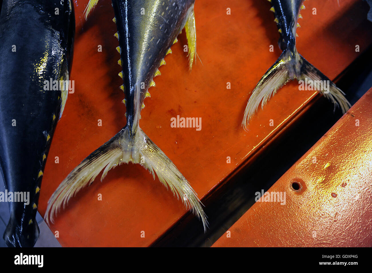 Pasar Gadong Fish market Stock Photo - Alamy