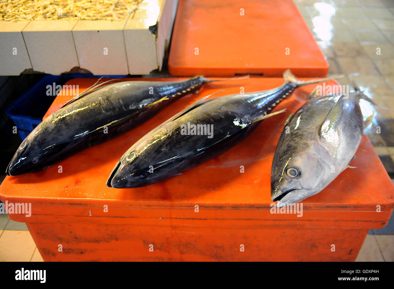 Pasar Gadong Fish market Stock Photo - Alamy
