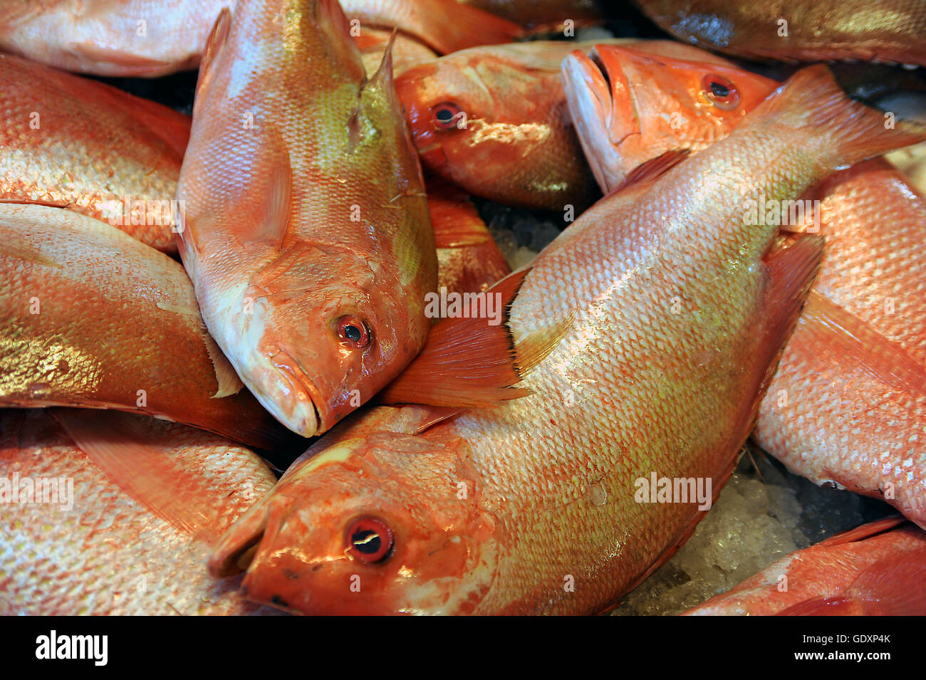 Pasar Gadong Fish market Stock Photo - Alamy