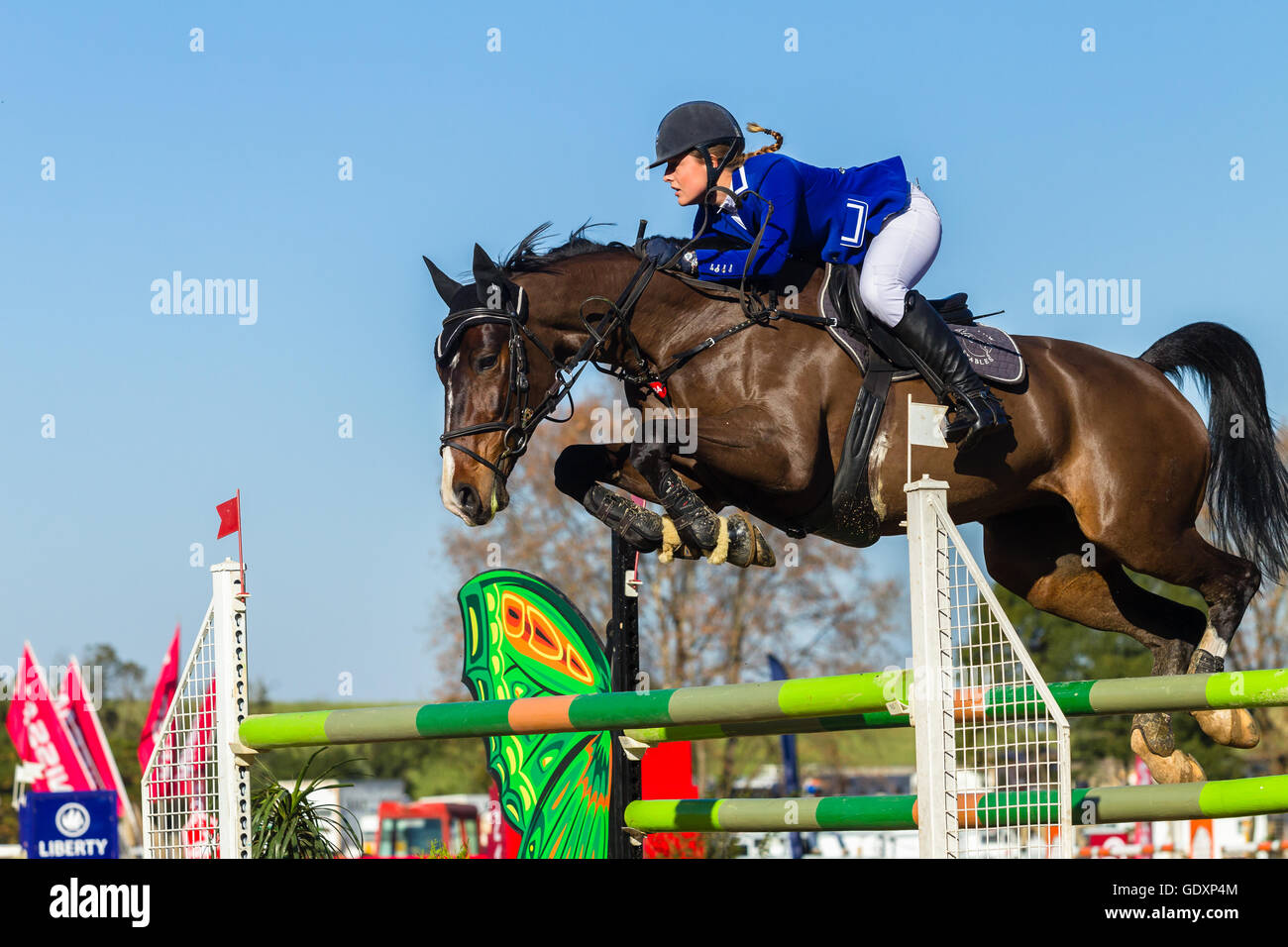 Rider horse equestrian show jumping action in arena Stock Photo - Alamy